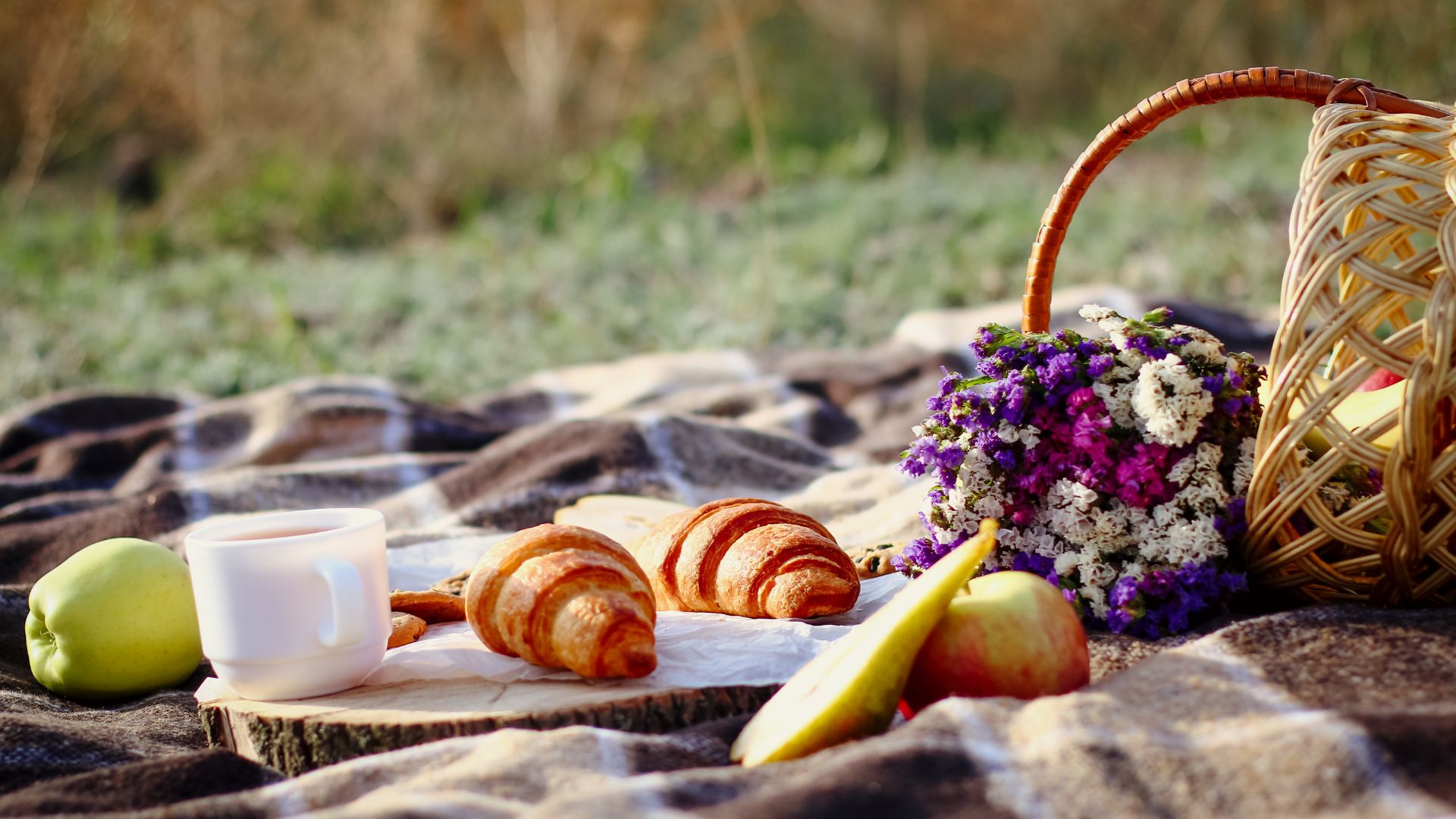 Table Picnic Pliante Pas Cher : Exterieur & Jardin - SkyLantern